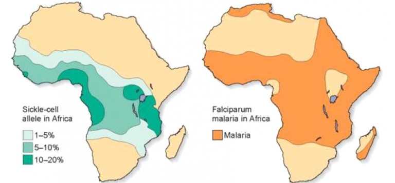 Chapter 3 – Exploring Our World: Biological and Archaeological ...