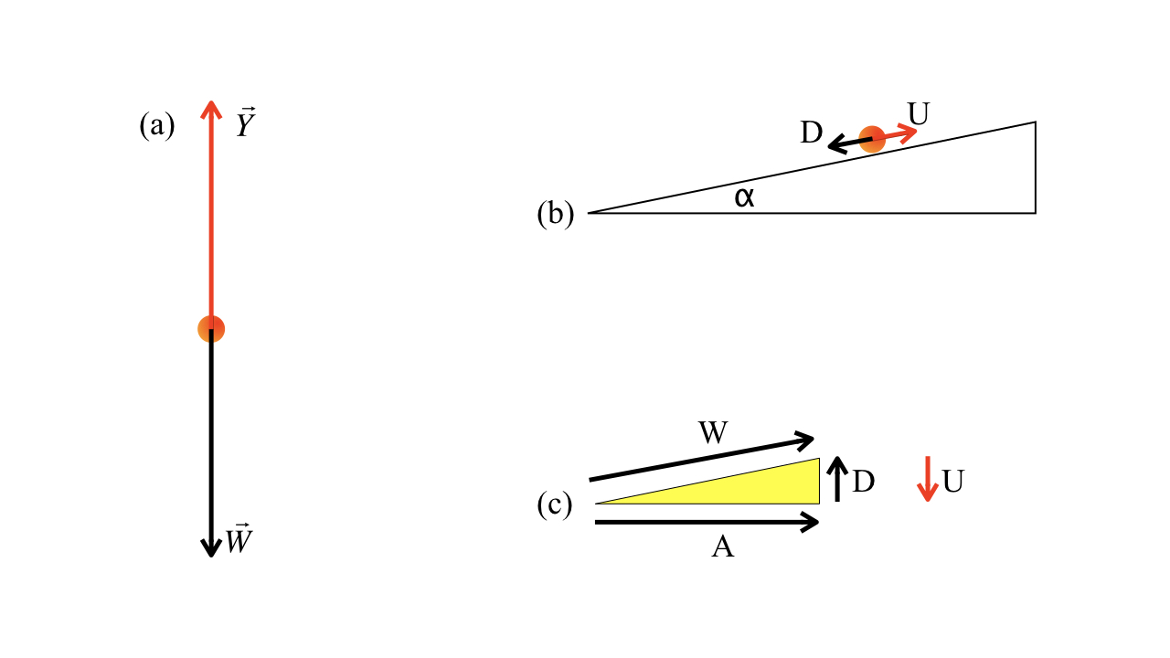Chapter 2, States of Motion: Galileo’s Breakthrough – Physical Science ...